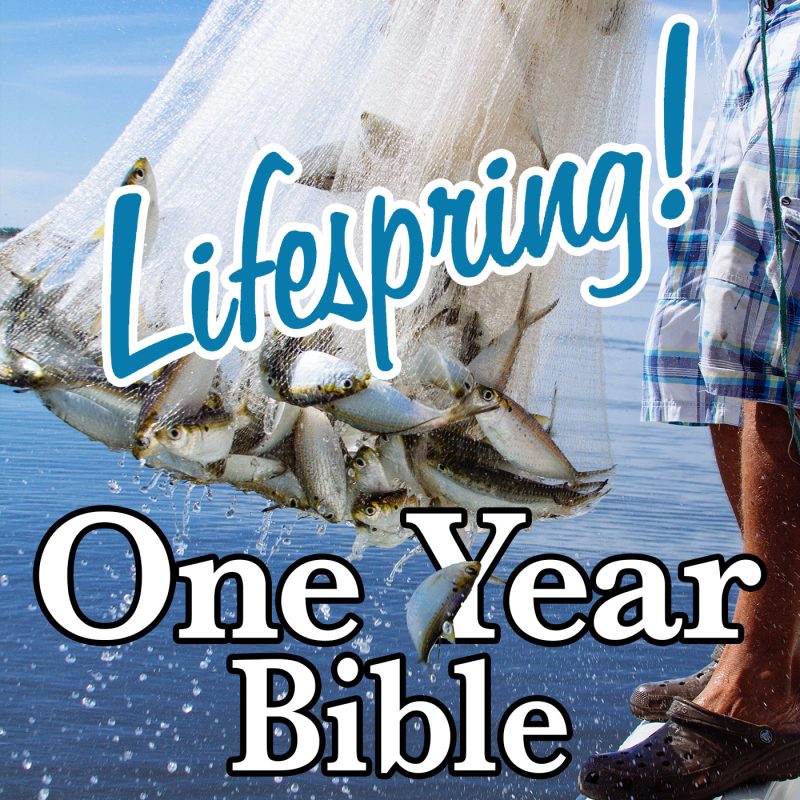 Luke 5-6: Let’s Go Out Into the Deep End | Lifespring! Media